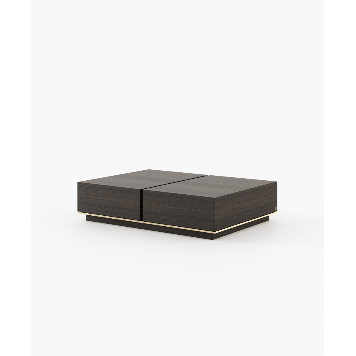 Sila Coffee Table: Storage & Modern Utility - Laskasas